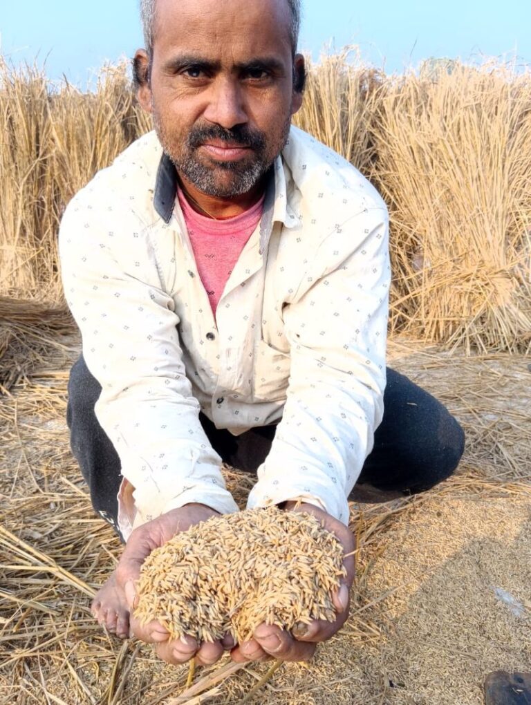 Impact Stories - Rozgar Dhaba